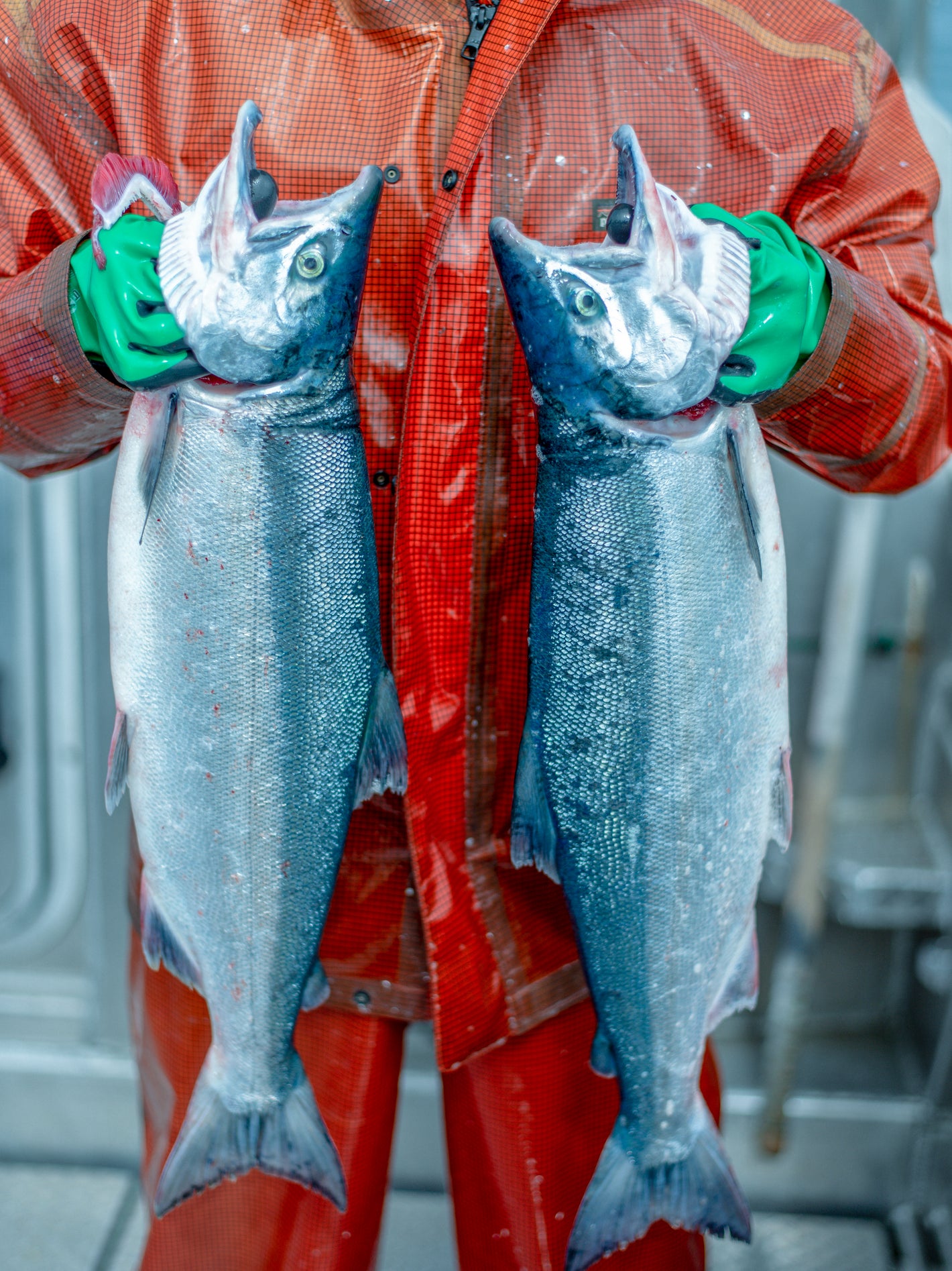 Slack Tide Seafoods | Fresh Alaskan Seafood